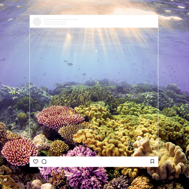 WWF photographie sur Instagram des paysages qui n'existent plus 🐼