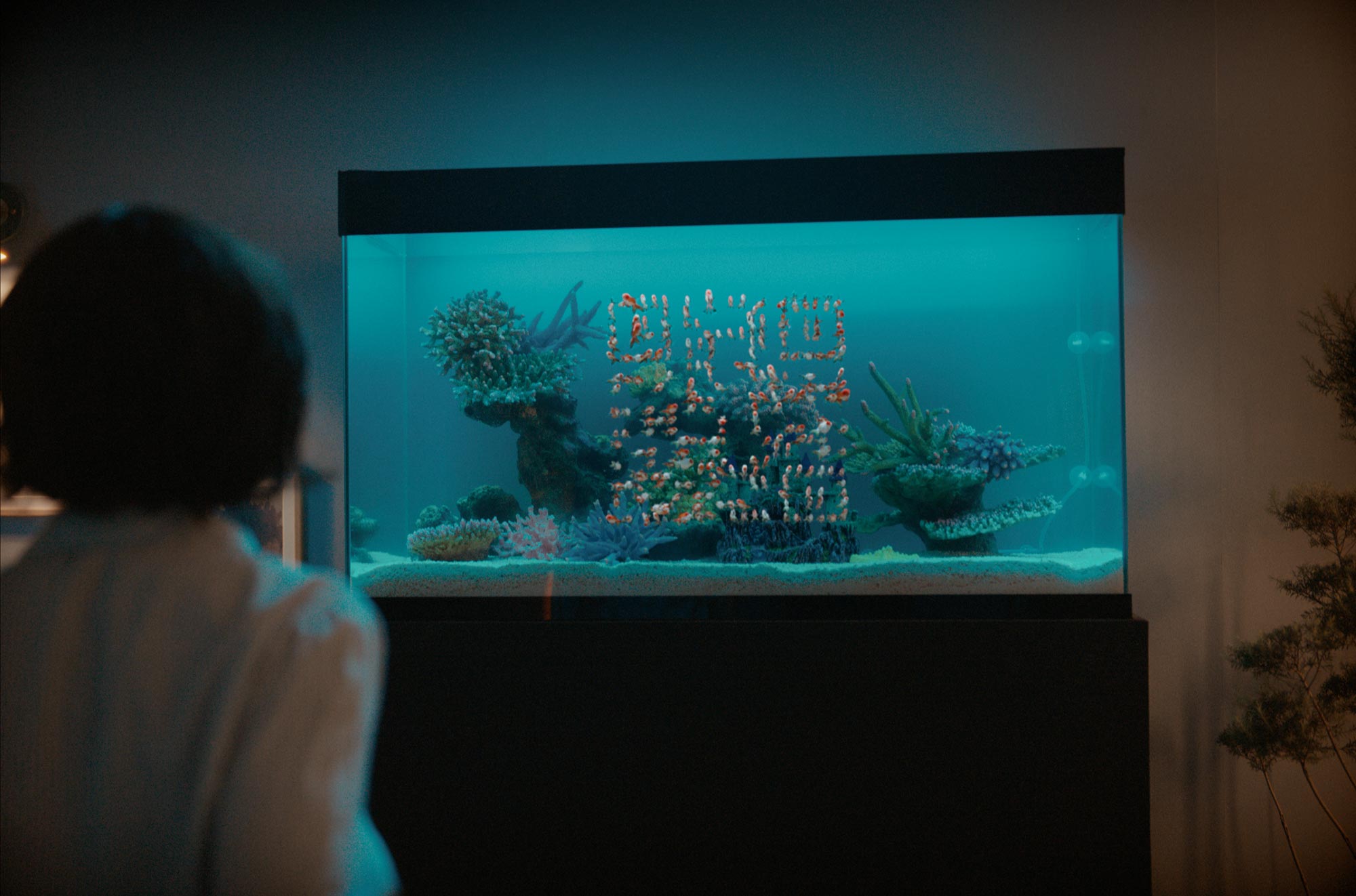 Free lance une nouvelle campagne ULTRA décalée avec Buzzman