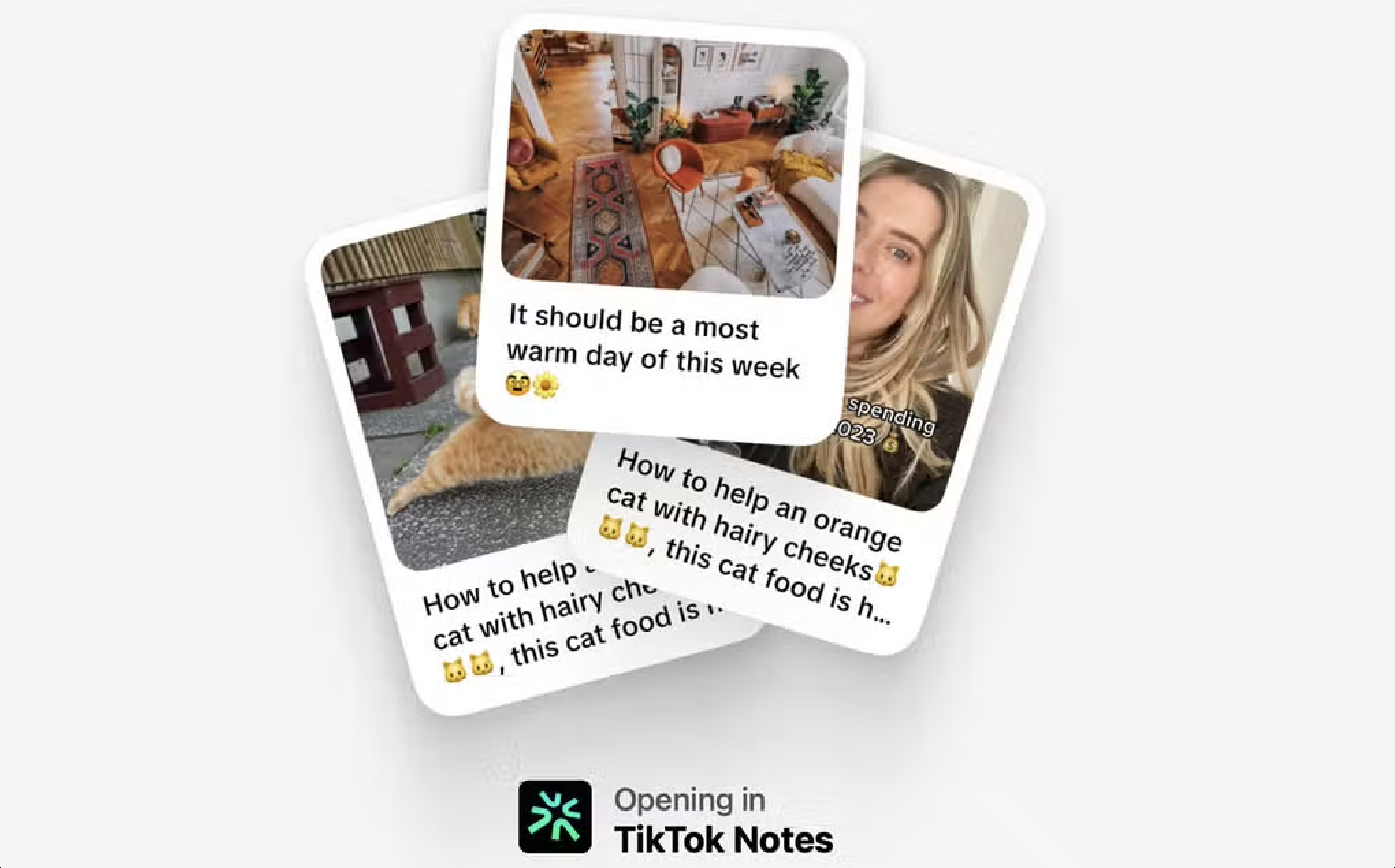 TikTok lance TikTok Notes et s'inspire fortement d'Instagram